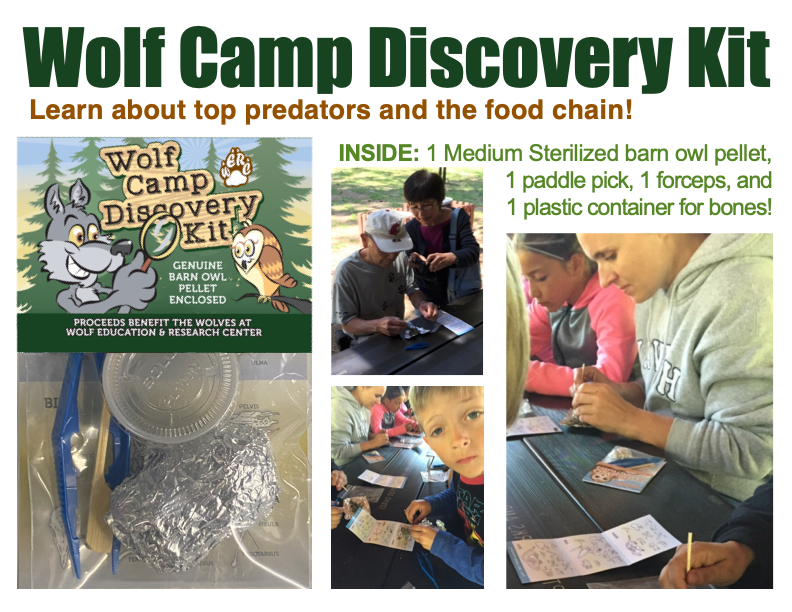 Wolf Camp Owl Pellet Kit – iWERC